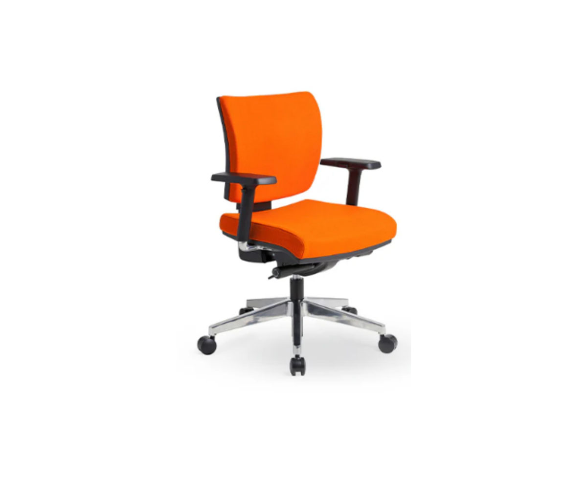 Apollo Executive Chair - Office Spectrum