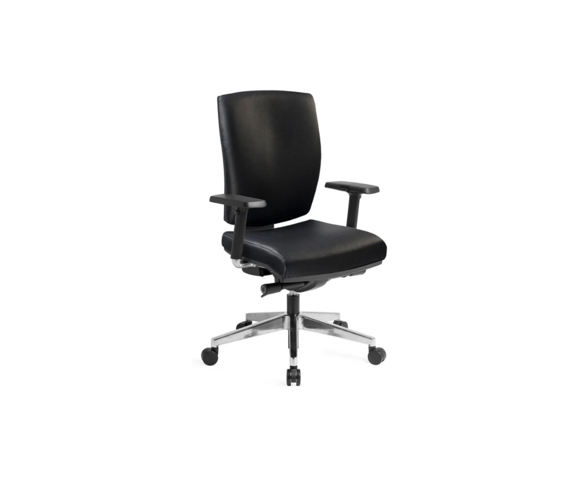 Apollo Executive Chair - Office Spectrum