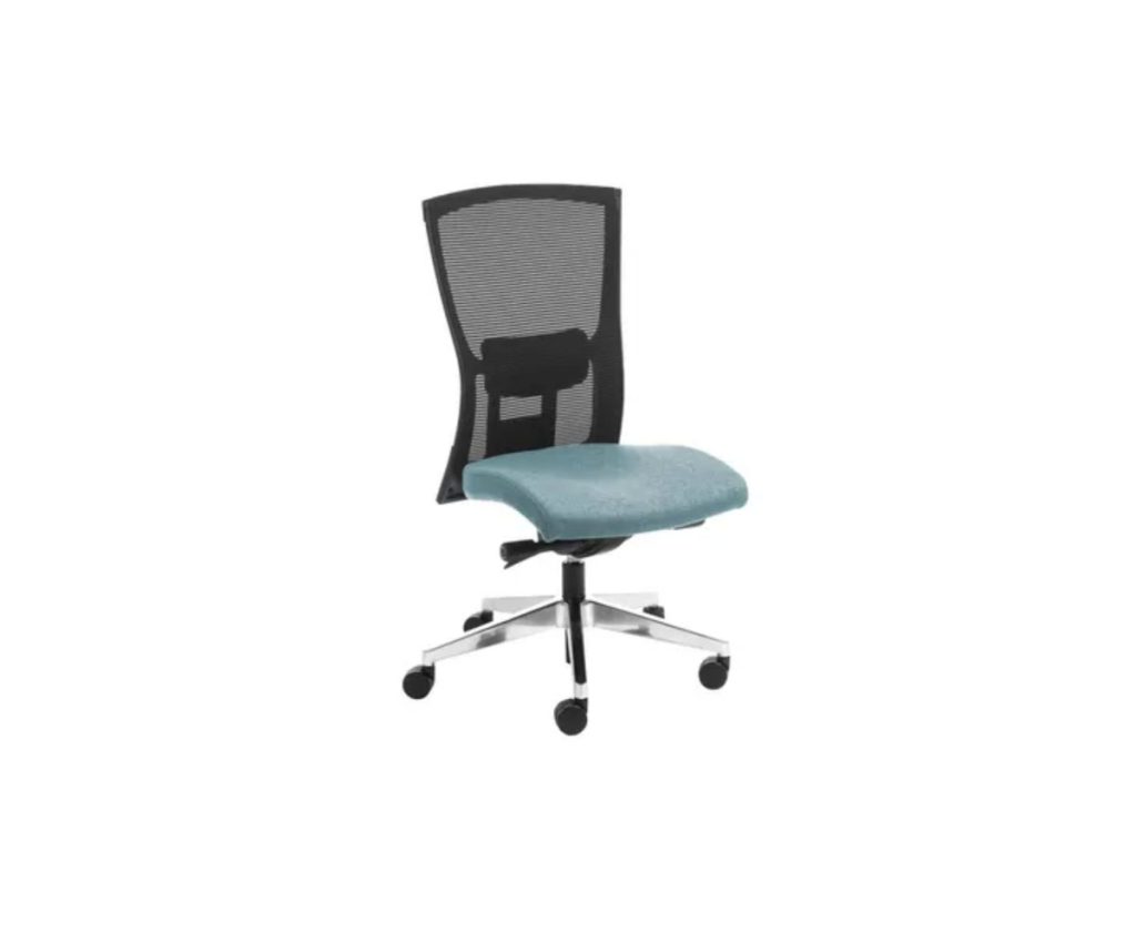 Task & Executive Chair - Office Spectrum